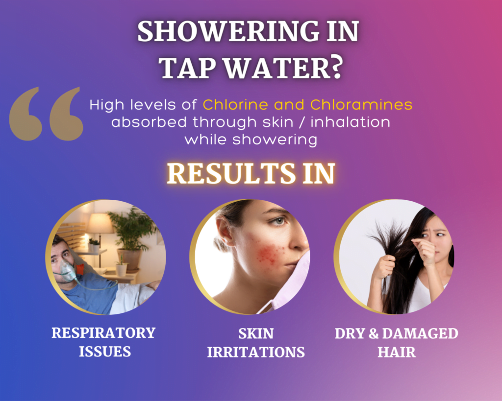 Shower Water Filter Singapore | Coral Pure 365 Filter